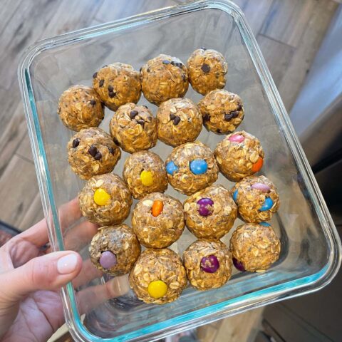 Protein Snack Bites - onebalancedlife.com